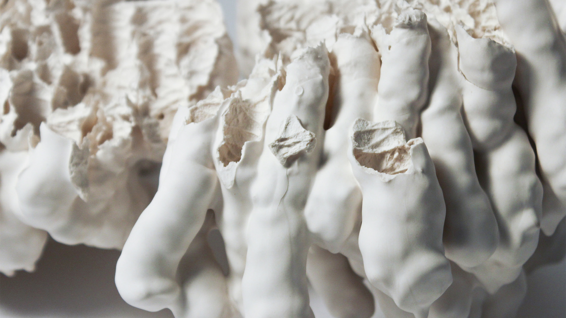 PORCELAIN SKINS - SoomeenHahm Design